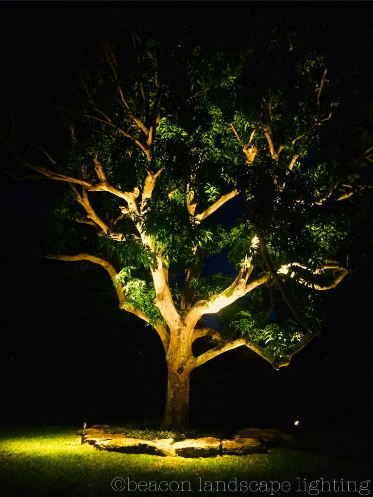 beacon – Landscape Lighting in West Palm Beach, FL